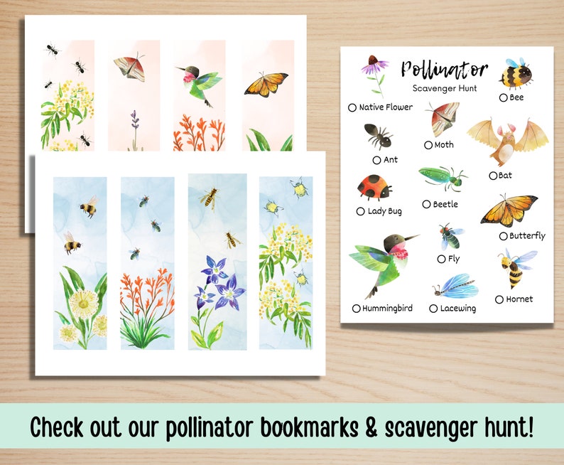 Watercolor Pollinator Flash Cards: Matching Game & Scavenger Hunt (PDF ...