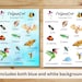 Pollinator Scavenger Hunt Printable for Instant Download, Outdoor ...