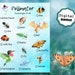 Pollinator Scavenger Hunt Printable for Instant Download, Outdoor ...