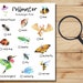 Pollinator Scavenger Hunt Printable for Instant Download, Outdoor ...