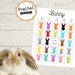Printable Bunny Bingo Game Instant Download, Bunny Bingo Cards, Animal ...