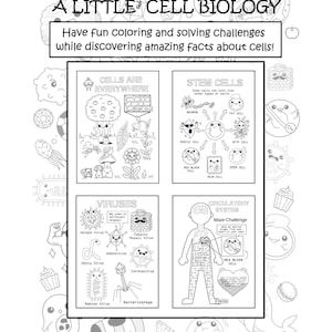 A Little Cell Biology - *physical* Coloring/activity Book - Etsy