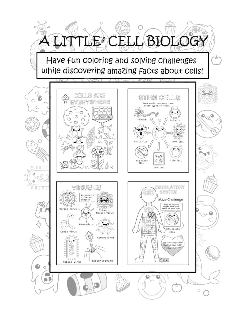 A Little Cell Biology - *physical* Coloring/activity Book - Etsy