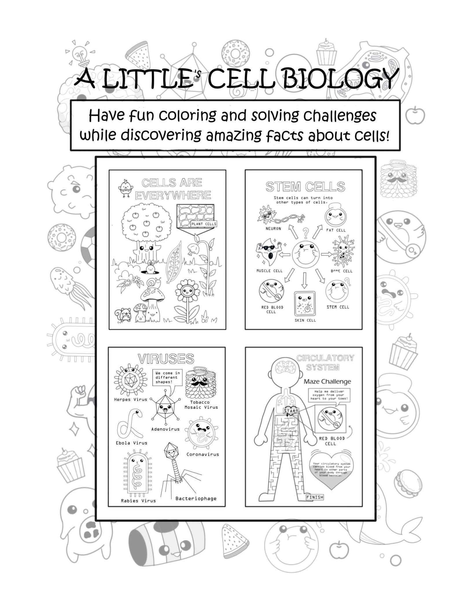 A Little Cell Biology - *physical* Coloring/activity Book - Etsy