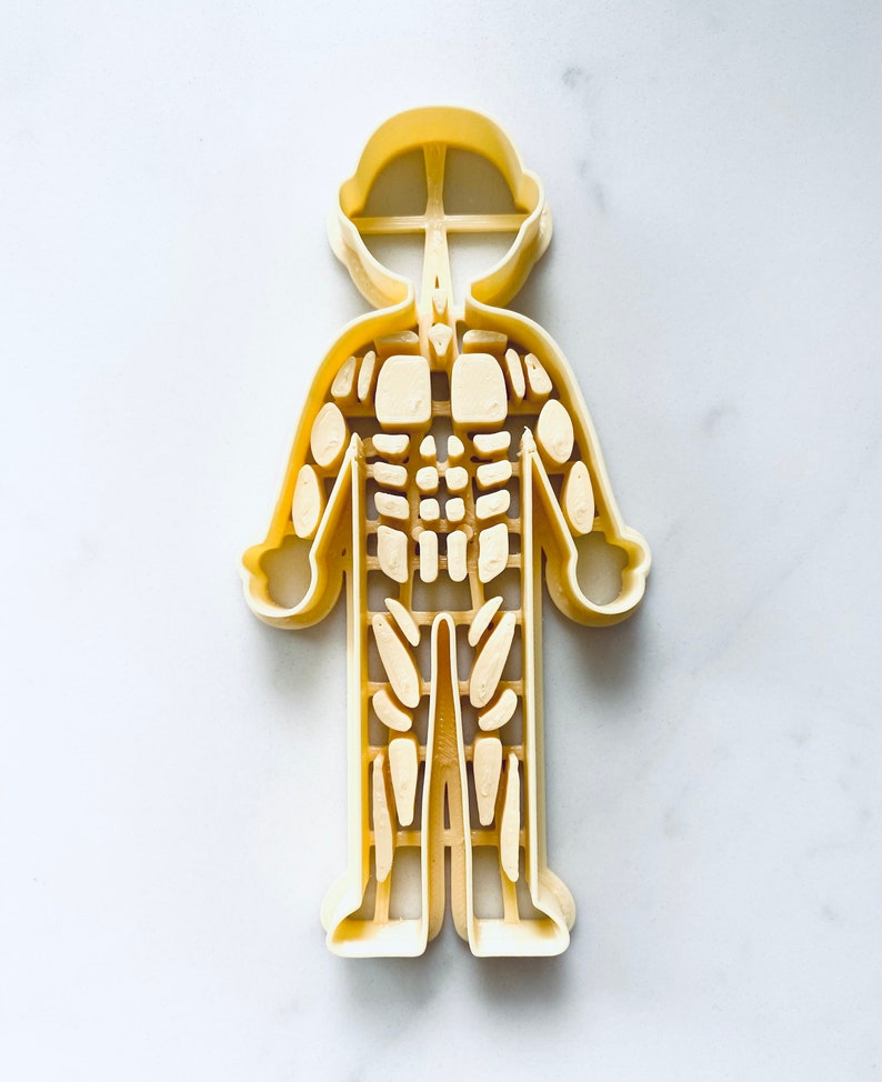 Muscular System Cookie Cutter or Play Dough Cutter - Etsy