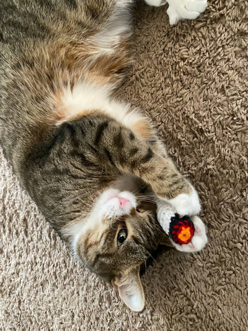 Cat Nip Toy, Cat Doobie, Cat Nip Joint, Cat Spliff, Kitten Toy, Cat ...