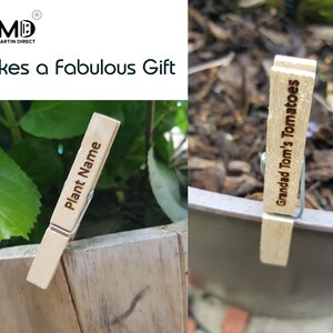 Custom Labelled Pegs Plant Signs Customised Personalised - Etsy
