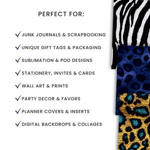 Animal Print Seamless Patterns Digital Paper Set Realistic Texture ...