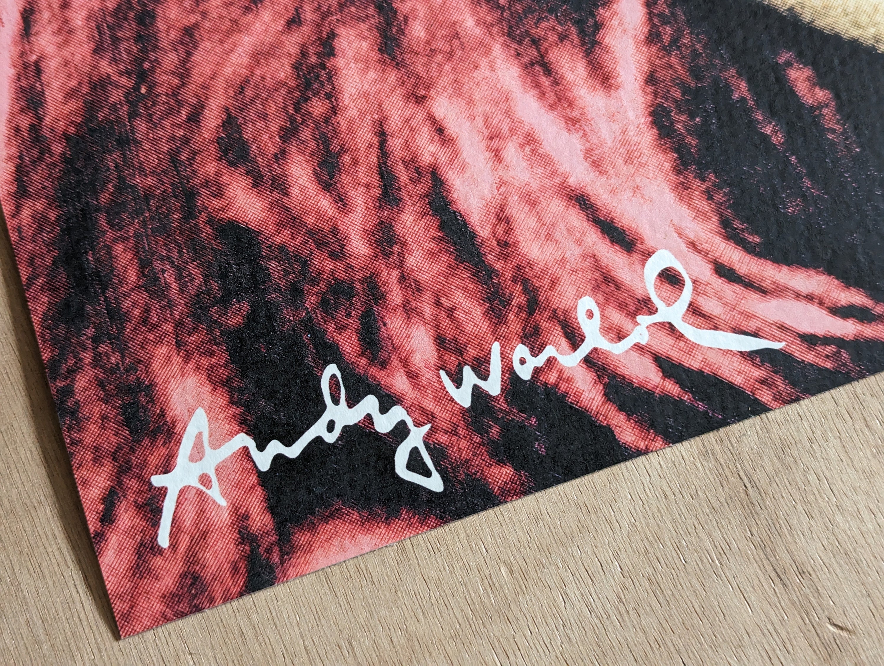 Andy Warhol Debbie Harry Print Authorized By Cmoa Carnegie Etsy