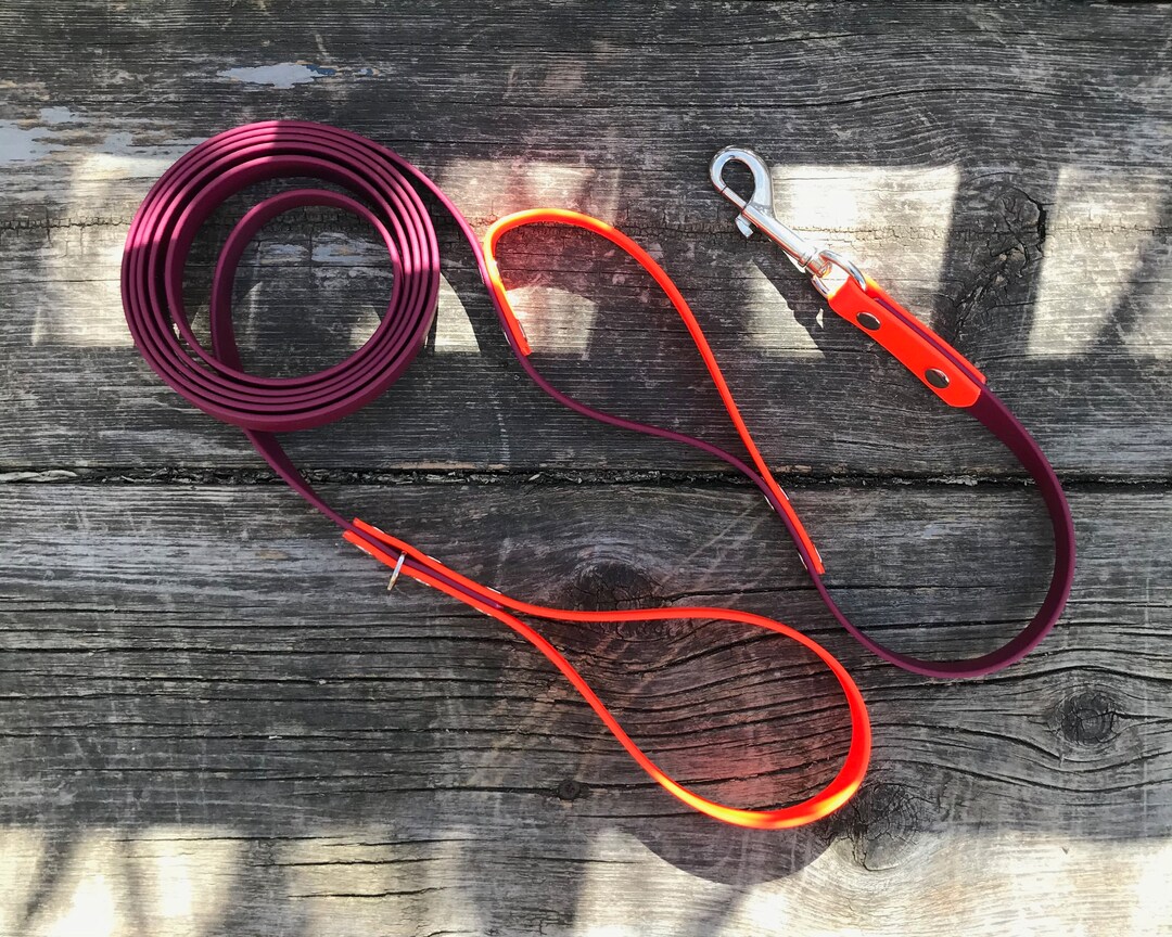 Dog Leash/traffic Handle With Stainless Steel Hardware, 3/4" Biothane ...