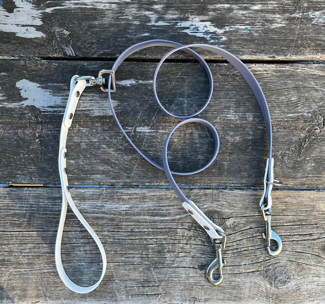 Two Point Control Leash Swivel With Chrome, Rose Gold, Black, Rainbow ...