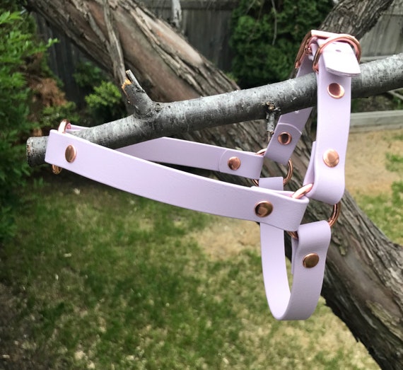 Adjustable Dog Harness With Nickel Rose Gold Black Rainbow | Etsy