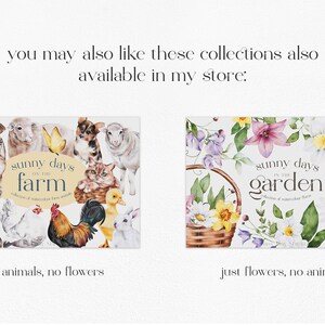 Farm Animals Illustrations | Spring Farm | Cute Animals | Watercolor ...