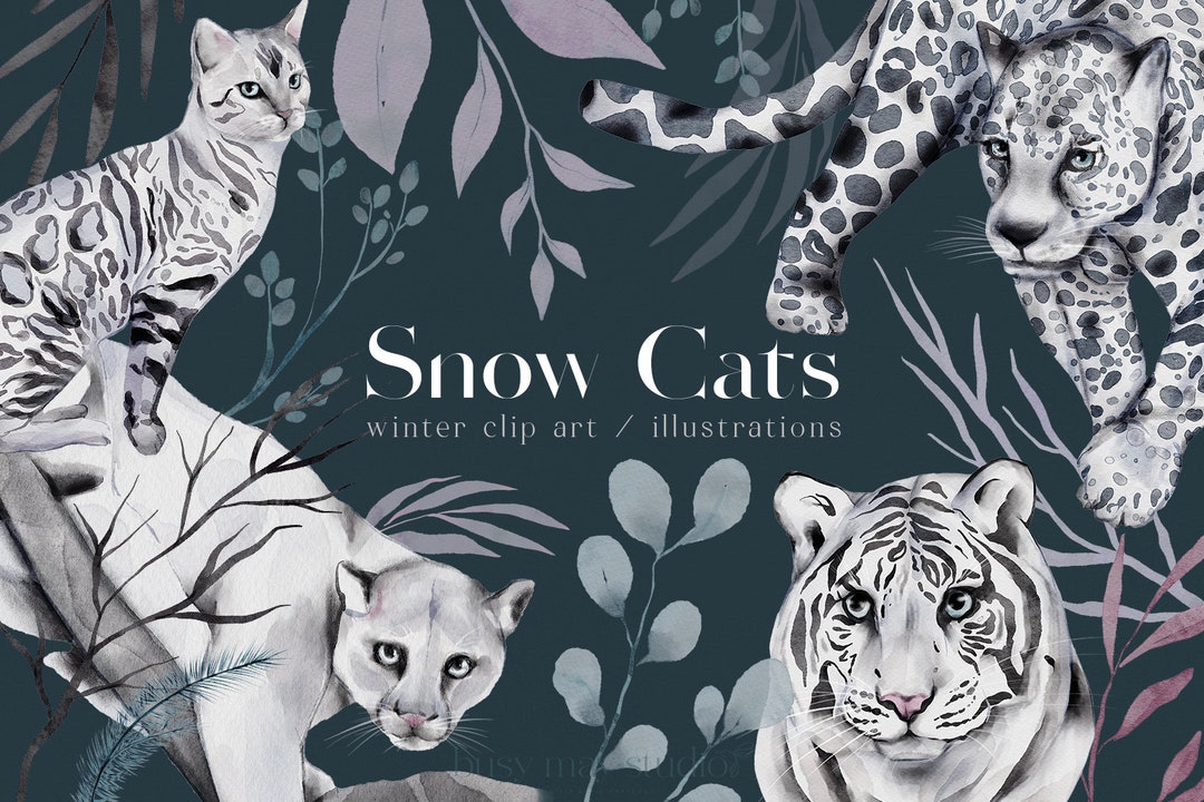 Snow Cats Watercolor Illustrations Clip Art | Hand Drawn Clip Art ...