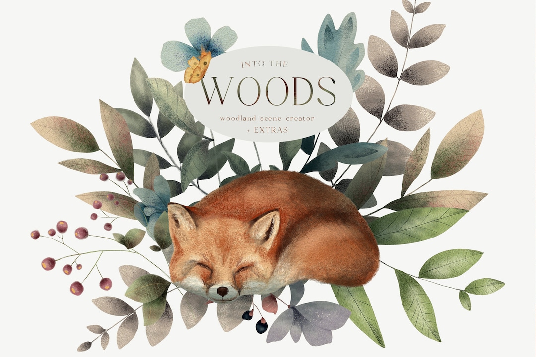 Woodland Scene Creator Forest Animals Illustrations Fox Bear Trees ...