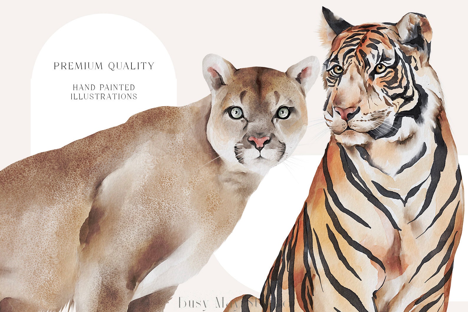 Wild Cats Illustrations Watercolour Lion Tiger Panther Lynx - Etsy