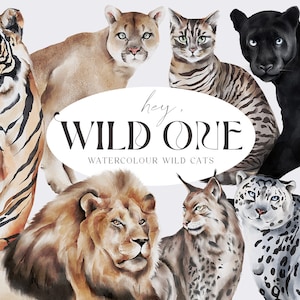 Wild Cats Illustrations Watercolour | Lion Tiger Panther Lynx Hand ...
