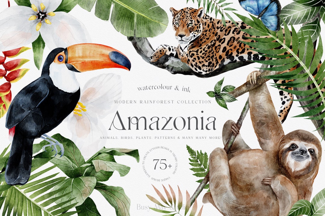 Watercolor Rainforest Tropical Collection | Jungle Animals Plants ...