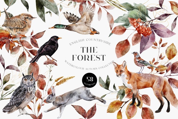 Autumn Forest Watercolor Collection Woodland Animals Birds | Etsy