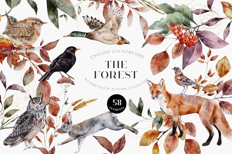 Autumn Forest Watercolor Collection Woodland Animals Birds | Etsy