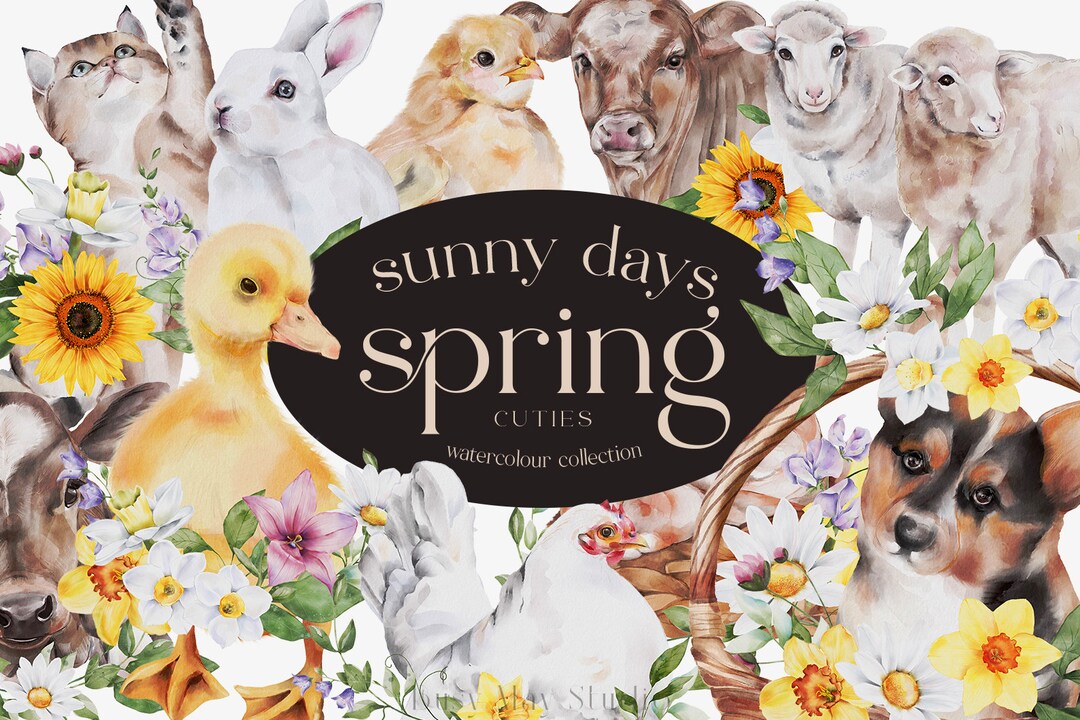 Farm Animals Illustrations | Spring Farm | Cute Animals | Watercolor ...