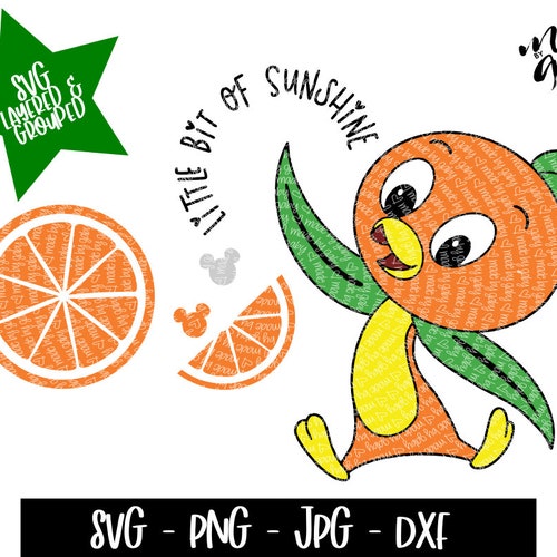 Orange Bird Face SVG - Etsy