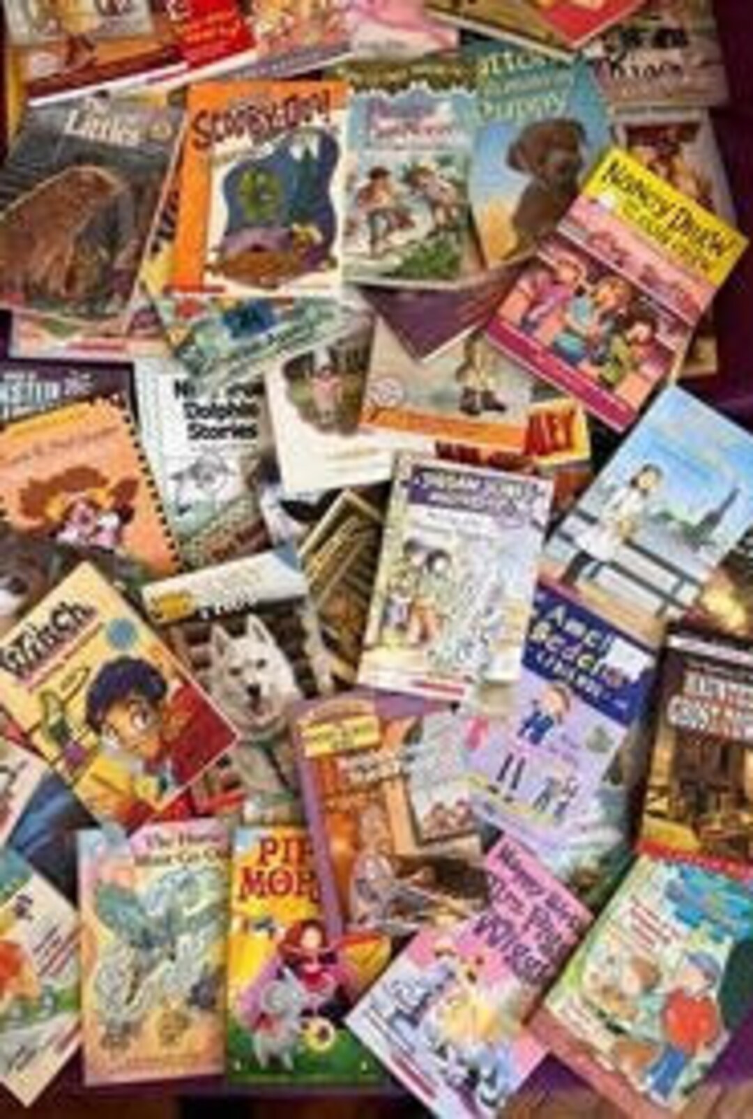 FREE SHIP U Pick 10 20 30 Chapter Books Class Lot Grades 1 2 3 Random ...