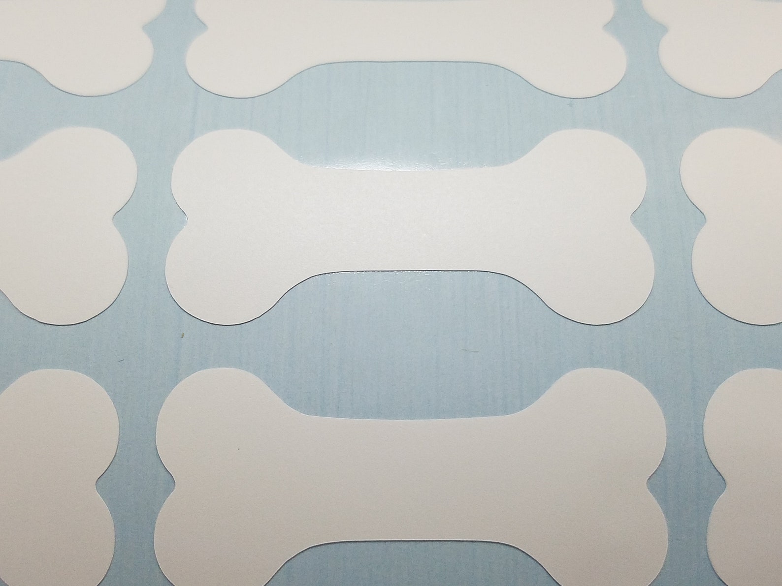 1/2 to 1.5 Dog Bone Vinyl Stickers - Etsy India