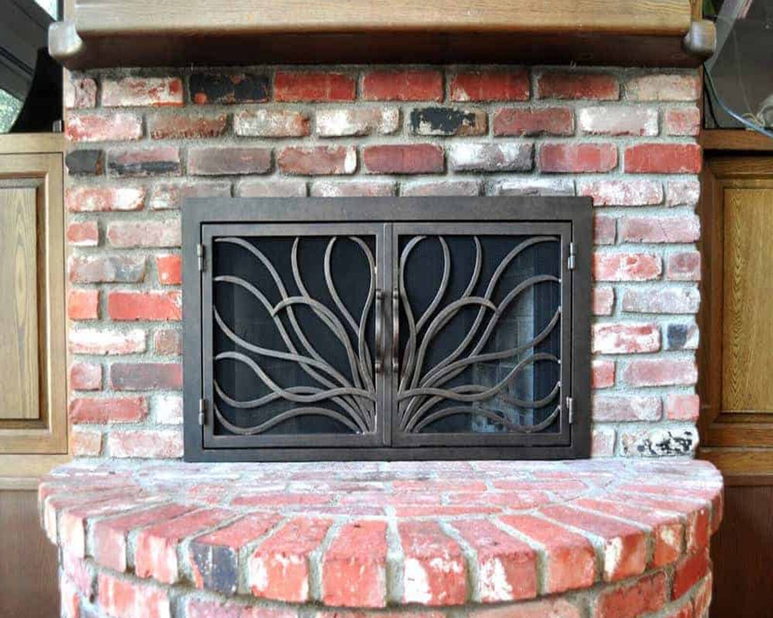 AMS Fireplace AMSFPD-15-R-3623, Coral Rectangular Fireplace Screen ...