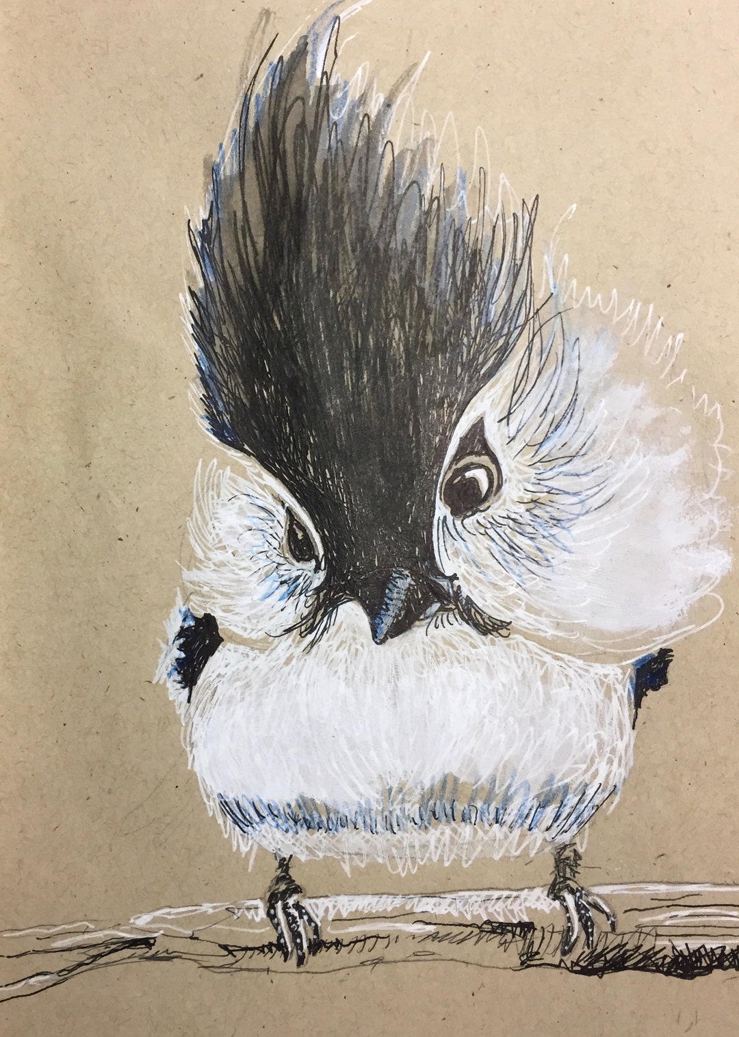 Tufted Titmouse Print - Etsy