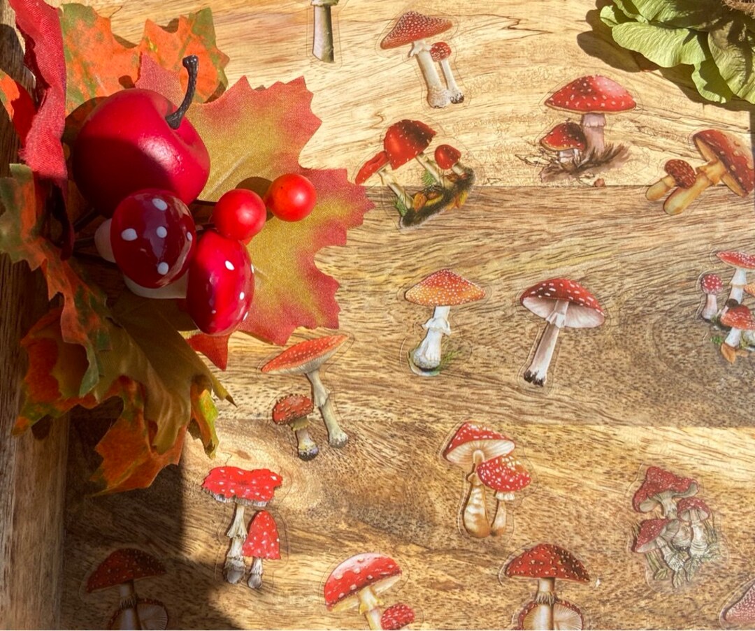 Little Toadstools 40-piece Transparent Sticker Set, Lucky Mushroom 38 ...