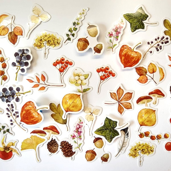 Autumn Stickers - Etsy