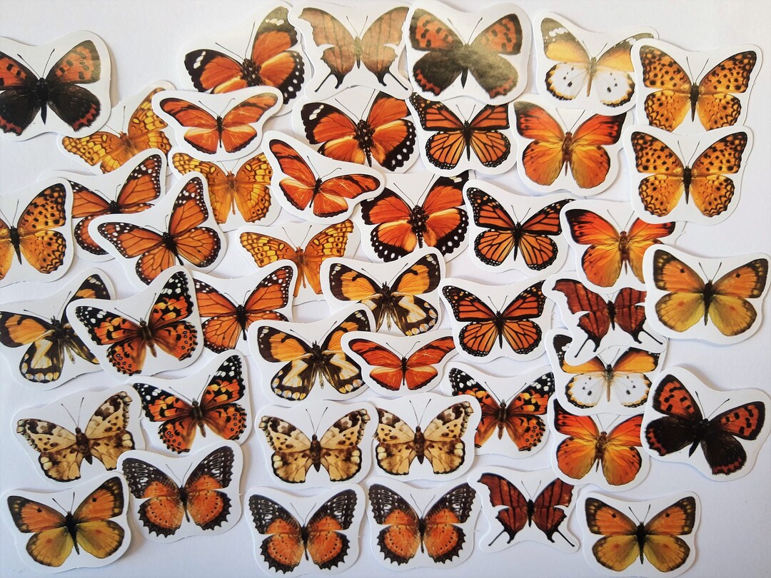 45 Orange Butterfly Stickers as a Set - Mandarin Sticker Washi Bujo ...
