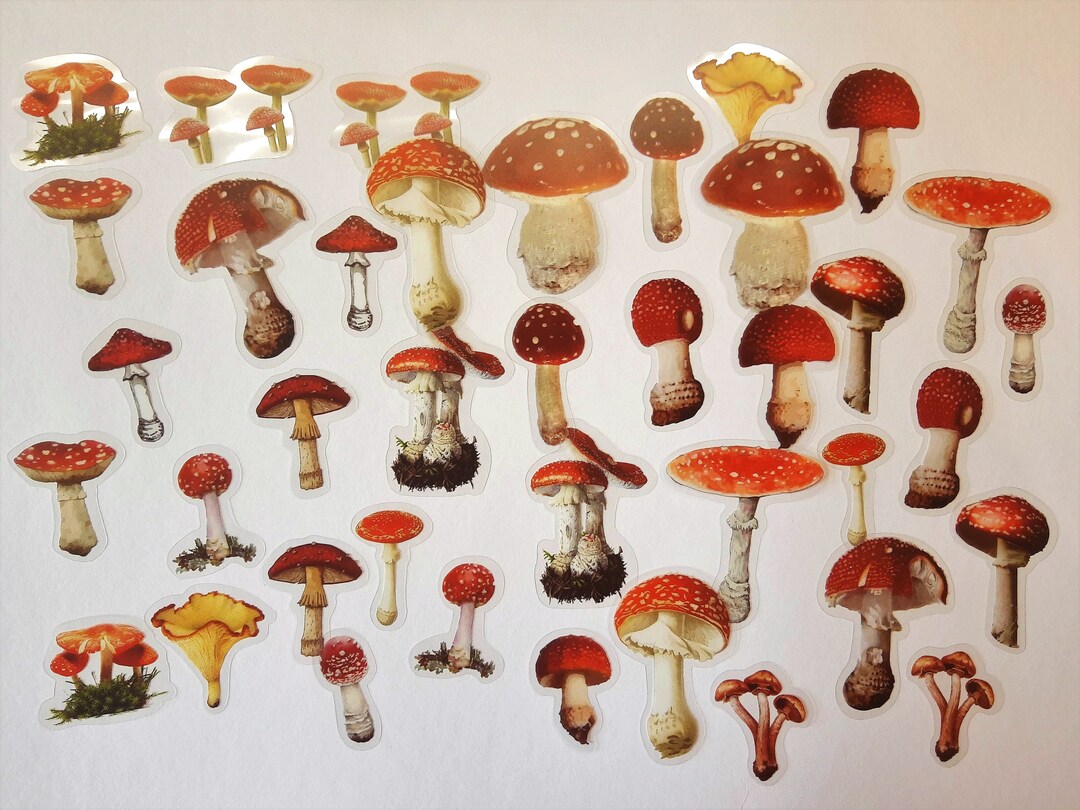 40 Transparent Mushrooms Toadstools Sticker Stickers Tinker Red White ...