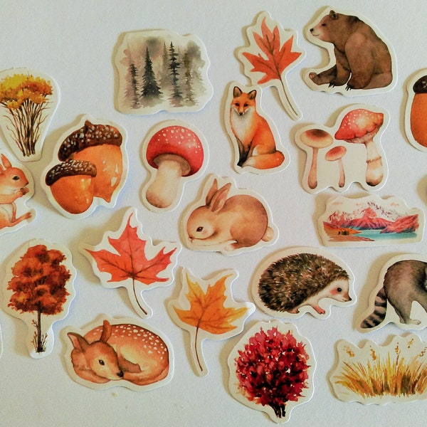 Autumn Stickers - Etsy