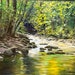 Secret Trout Pool - Etsy