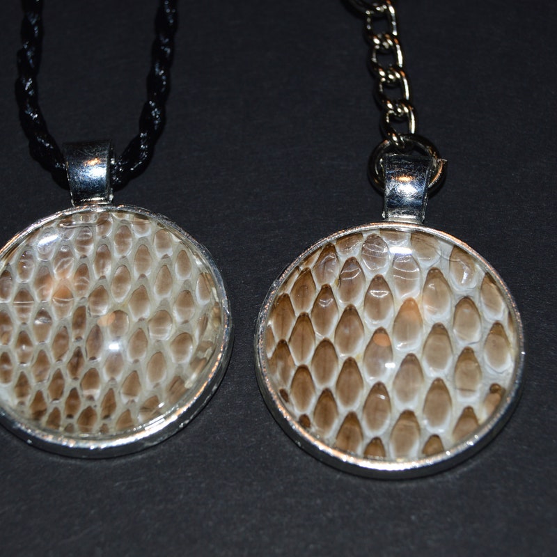 Snake Shed Jewelry - Etsy