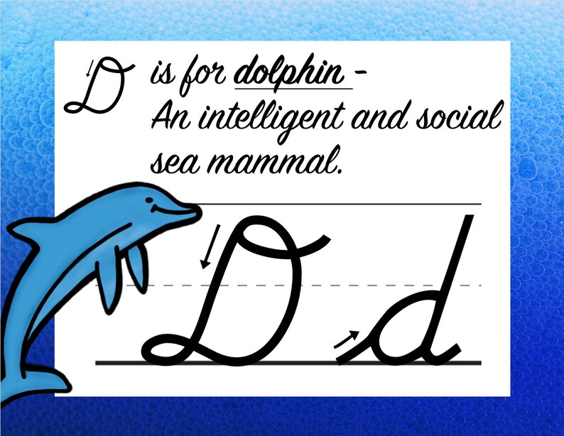 Cursive Alphabet Banner for Ocean Theme Class Decor in 2 Sizes With Sea ...