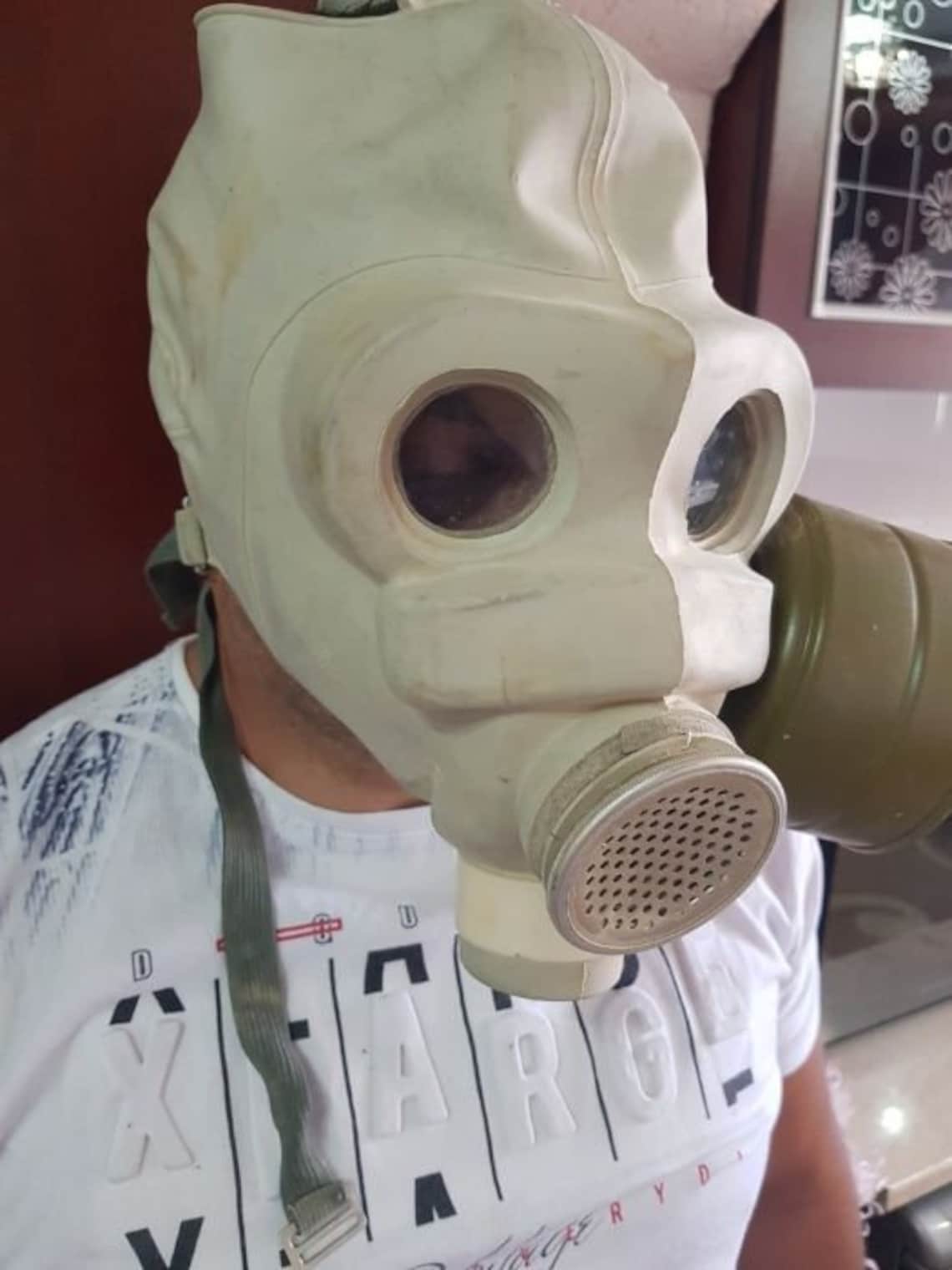 Vintage Bulgarian New Gas Mask PMG Only Mask, White, Bulgarian Gas Mask ...