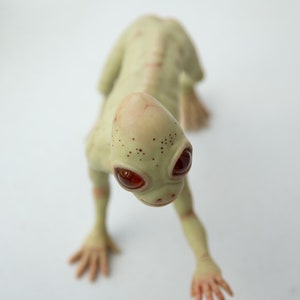 Dover Demon of Massachusets, Creepy Cute Weird and Sad MA Cryptid ...