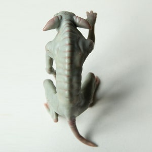 Chupacabra Well Known Vampire Cryptid Animal From Texas - Etsy