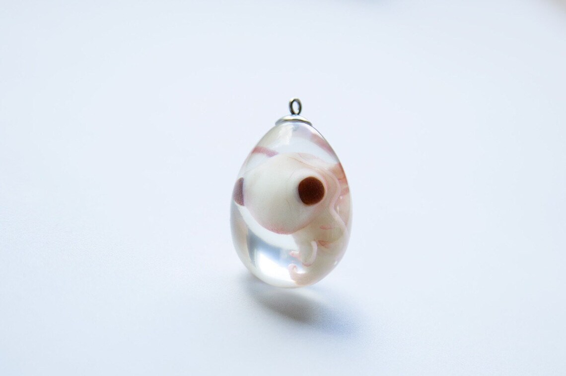 Axolotl fetus embryo jewelry by CocoonLamp Polymer clay and | Etsy