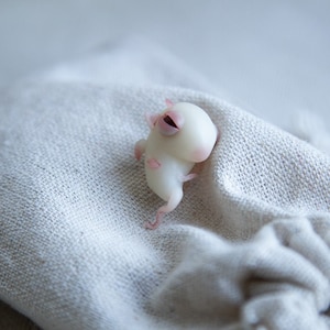 Polymer Clay Baby Dragon Embryo Sculpture - Fantasy Monster Spawn Fetus ...