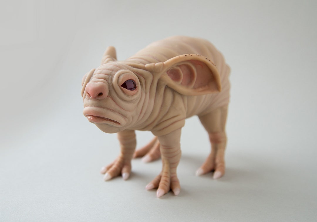 Sad Bernie Who Live on Swamp Alien Monster Animal From Fantastic Planet ...