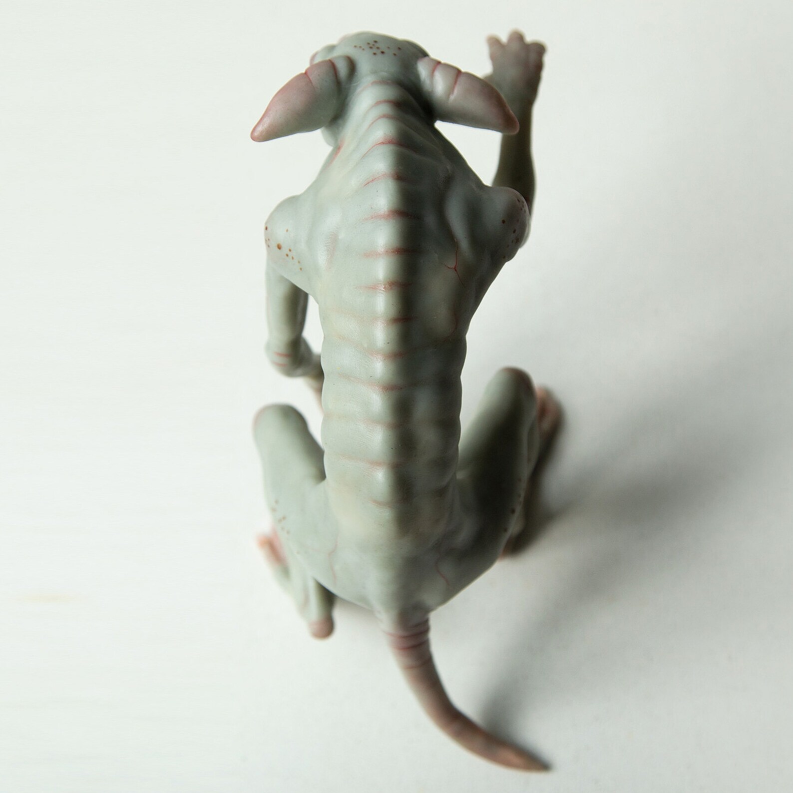 Chupacabra, Mythical Vampire Cryptid Horror Creature From Texas ...