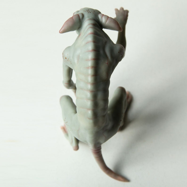 Chupacabra, Mythical Vampire Cryptid Horror Creature From Texas ...