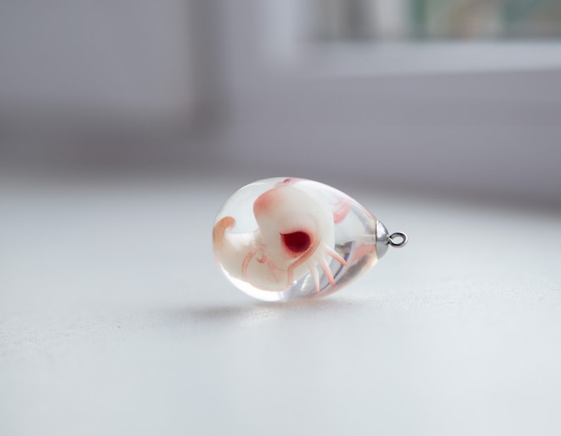Axolotl Fetus Embryo Jewelry by Cocoonlamp. Polymer Clay and - Etsy