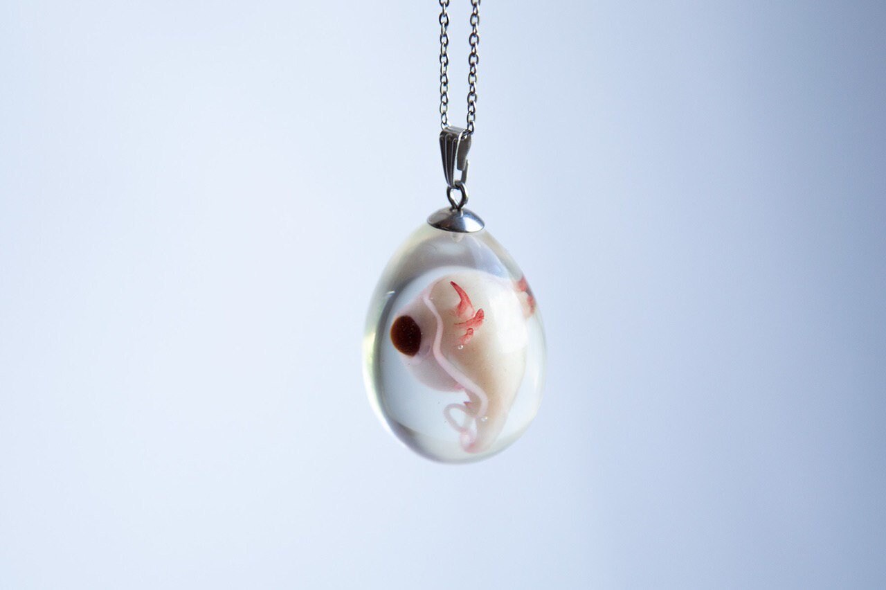 Axolotl Fetus Embryo Jewelry by Cocoonlamp. Polymer Clay and | Etsy ...