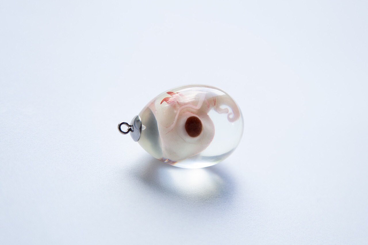 Axolotl Fetus Embryo Jewelry by Cocoonlamp. Polymer Clay and | Etsy ...