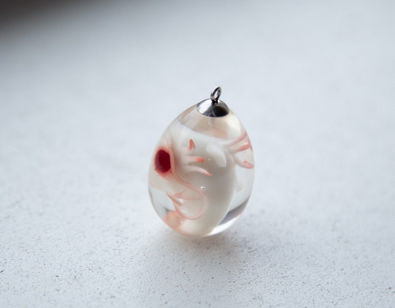 Axolotl Fetus Embryo Jewelry by Cocoonlamp. Polymer Clay and - Etsy